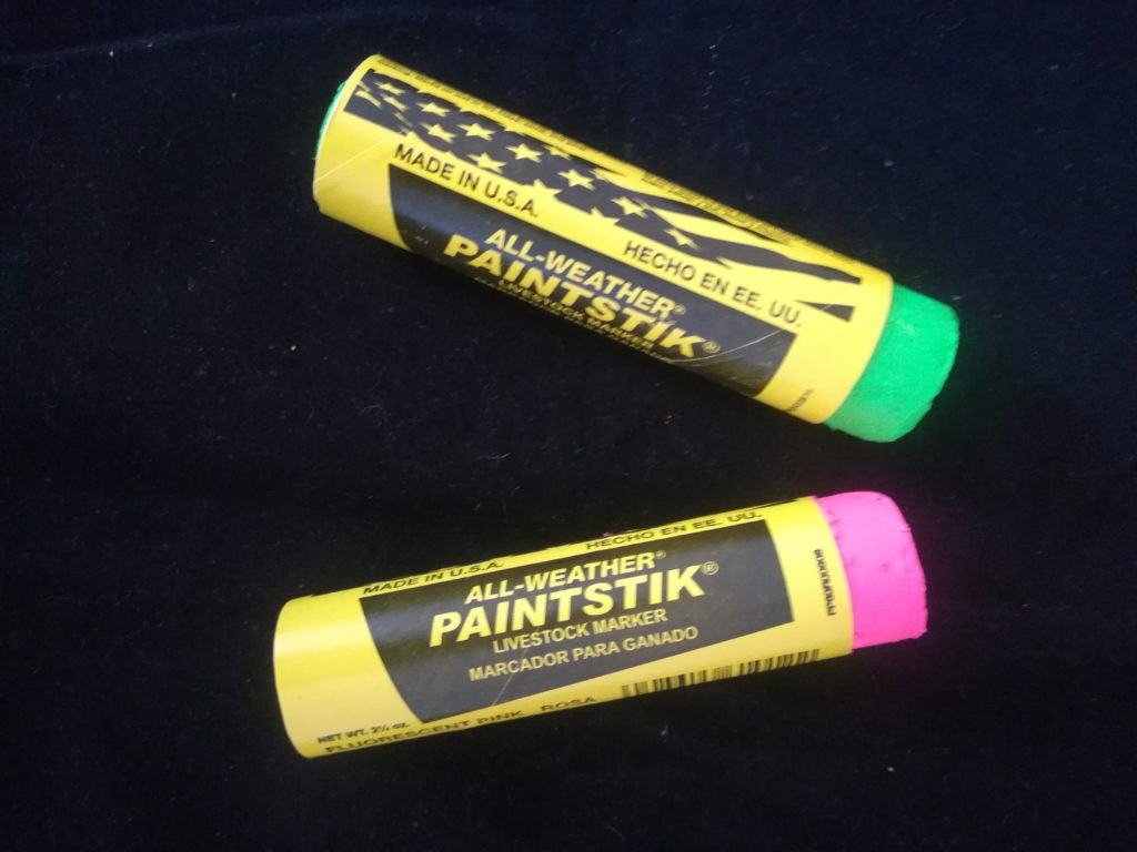 Paintstik Markers Big Size